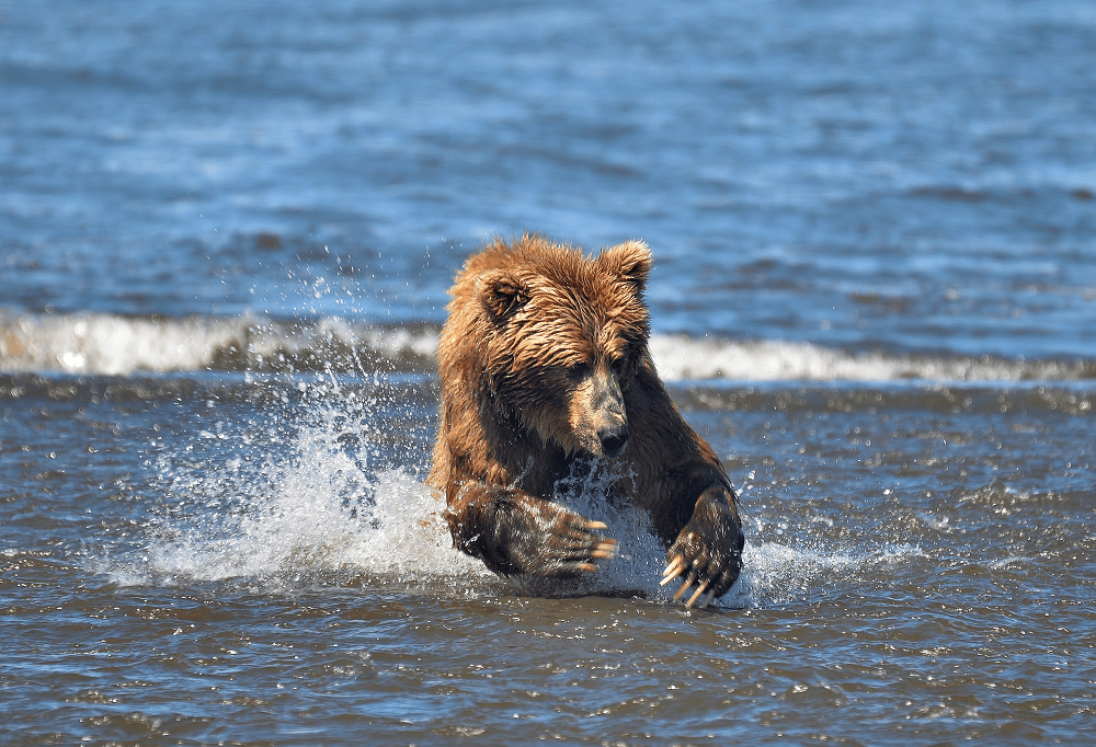 Homestory #6: Alaska